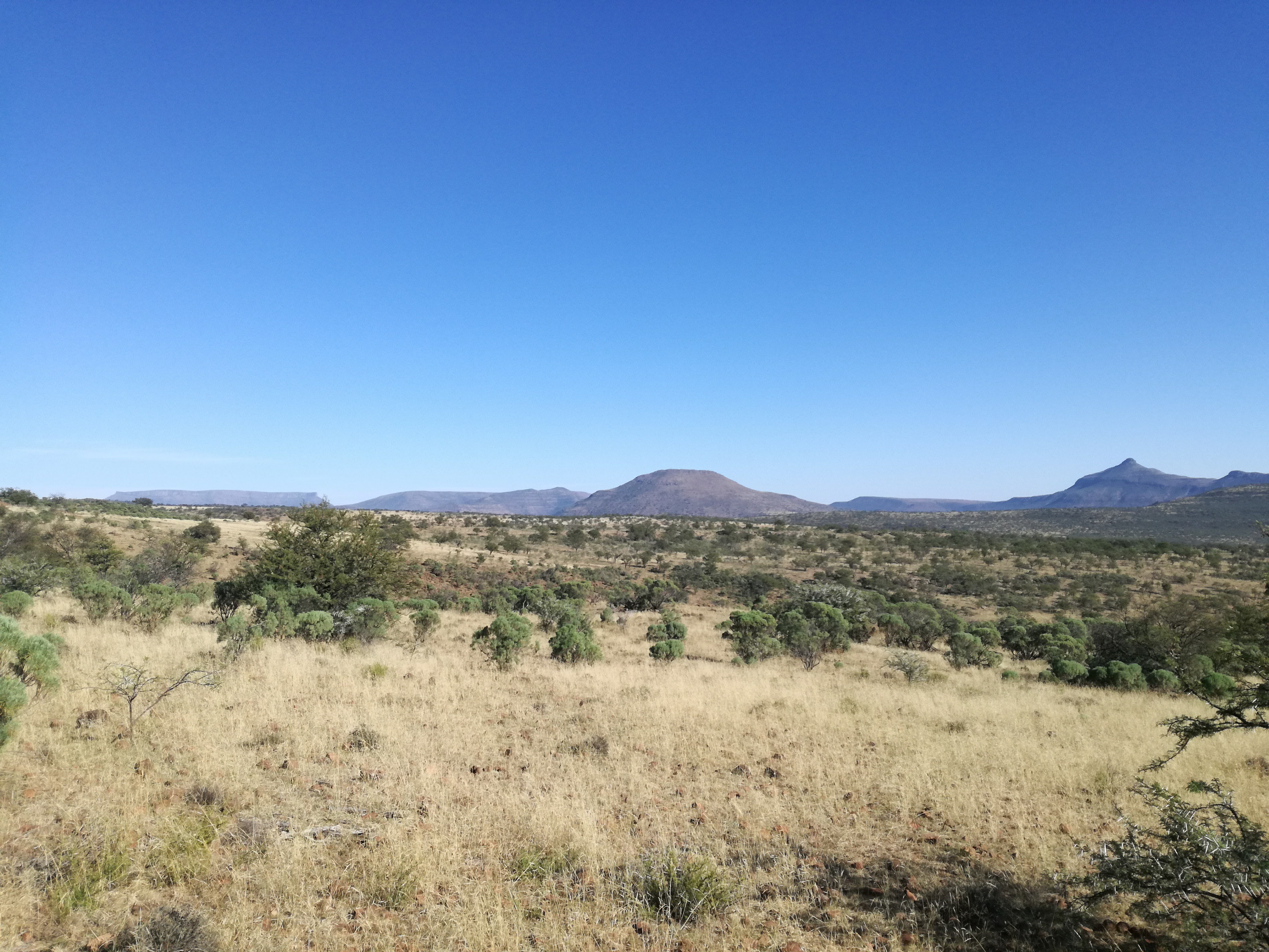Land Rights Group Scorns Mecs Call For Western Cape Farmers To Move