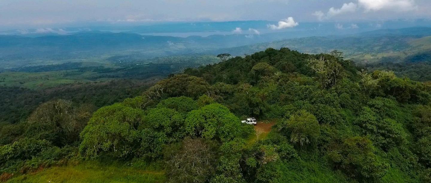 In DR Congo, the world’s second largest forest is being ravaged as ...