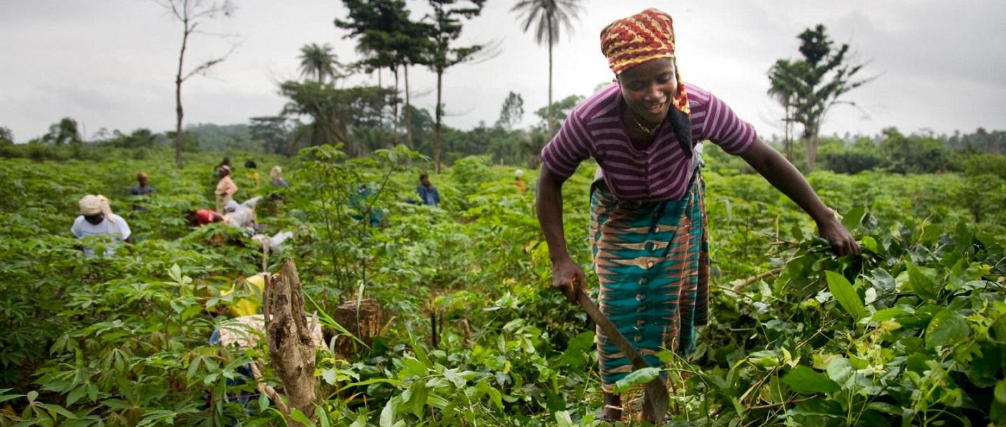 Despite reforms, patriarchal systems continue to hinder land ownership ...