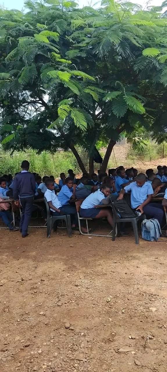 After floods, Limpopo learners study under trees – Elitsha